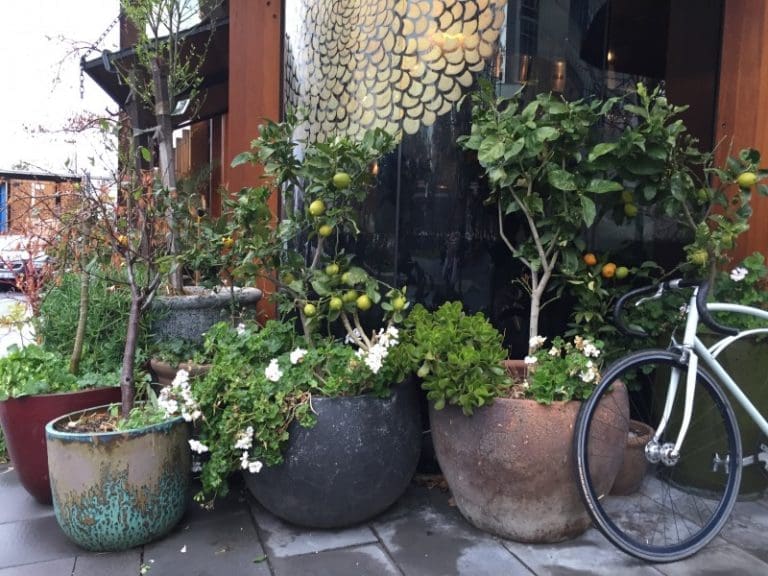 Ideas to steal from cool Canberra cafes | Style Curator