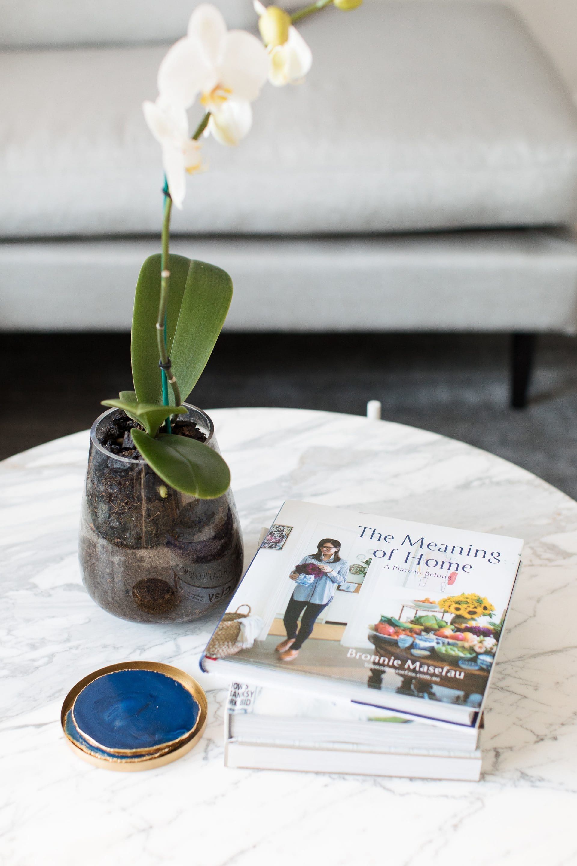 'The Meaning of Home: A Place to Belong' book review