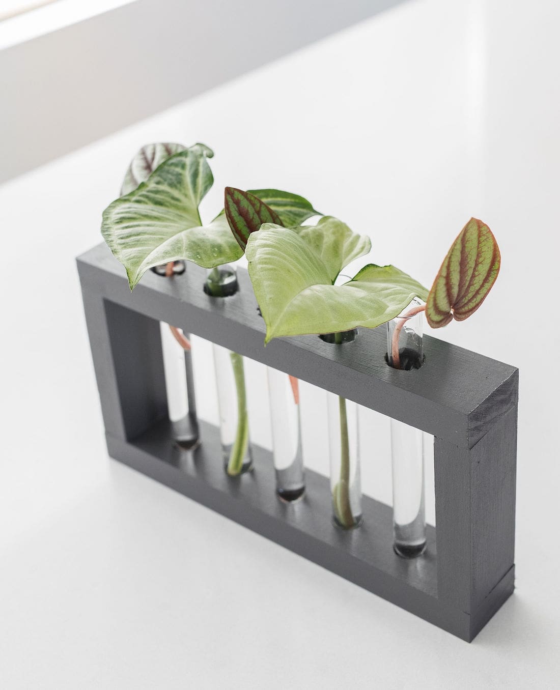 DIY test tube plant propagation stand | Style Curator