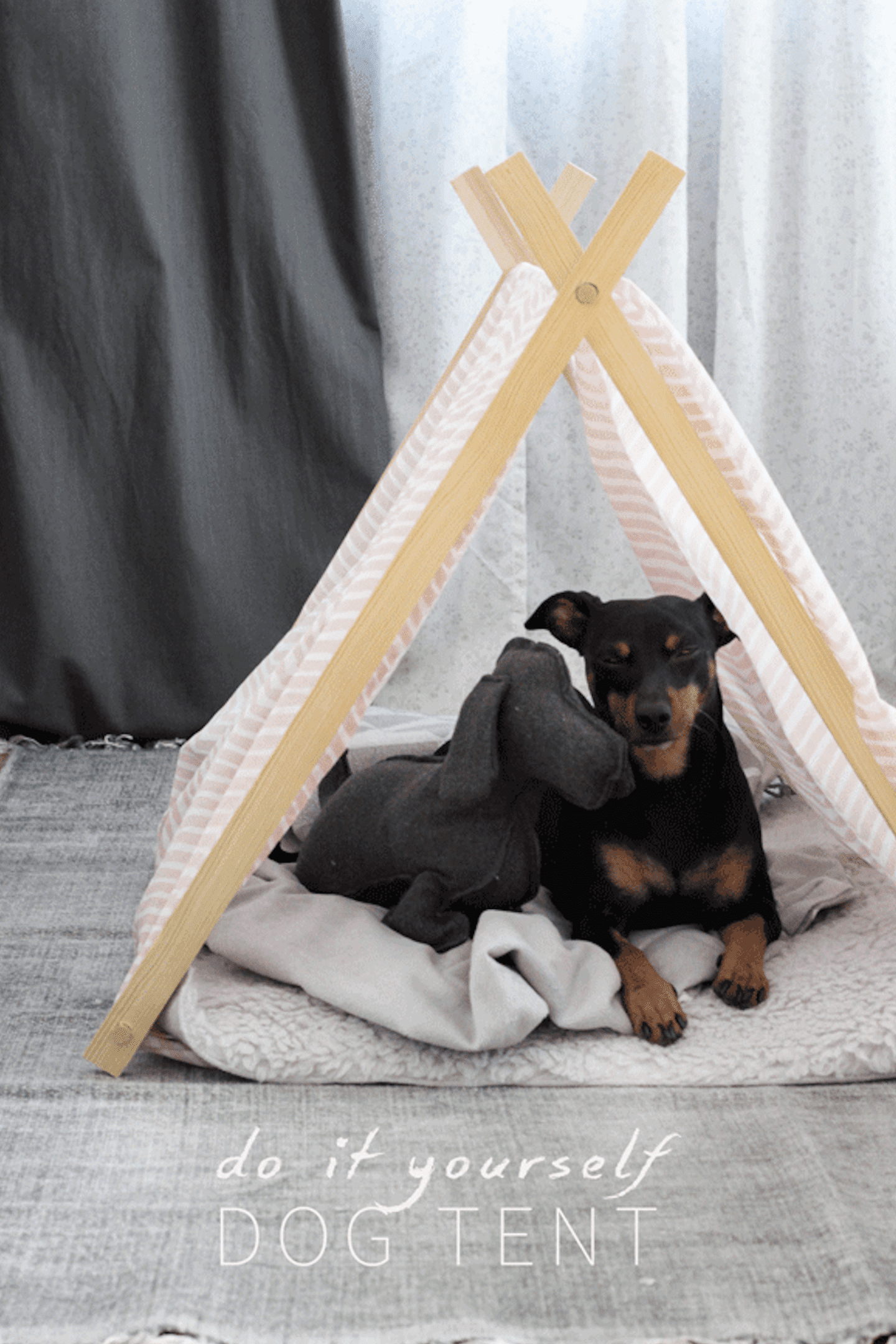 Pamper your pooch | The best DIY projects for dogs | Style Curator