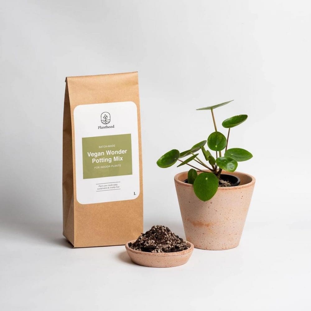 Tailor your potting mix for your plant species: Tips to thriving indoor ...