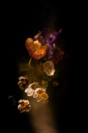 Lilli Waters: Photography art that's more than 50 Shades | Style Curator