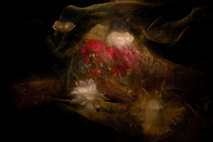 Lilli Waters: Photography art that's more than 50 Shades | Style Curator