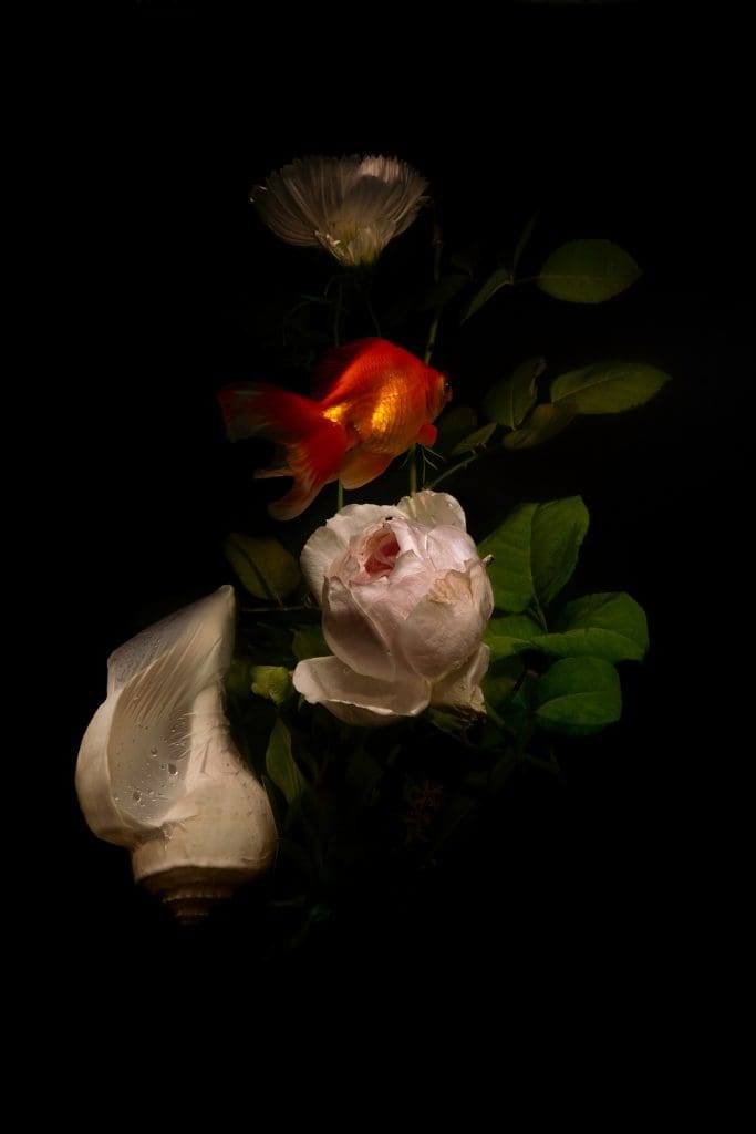 Lilli Waters: Photography art that's more than 50 Shades | Style Curator