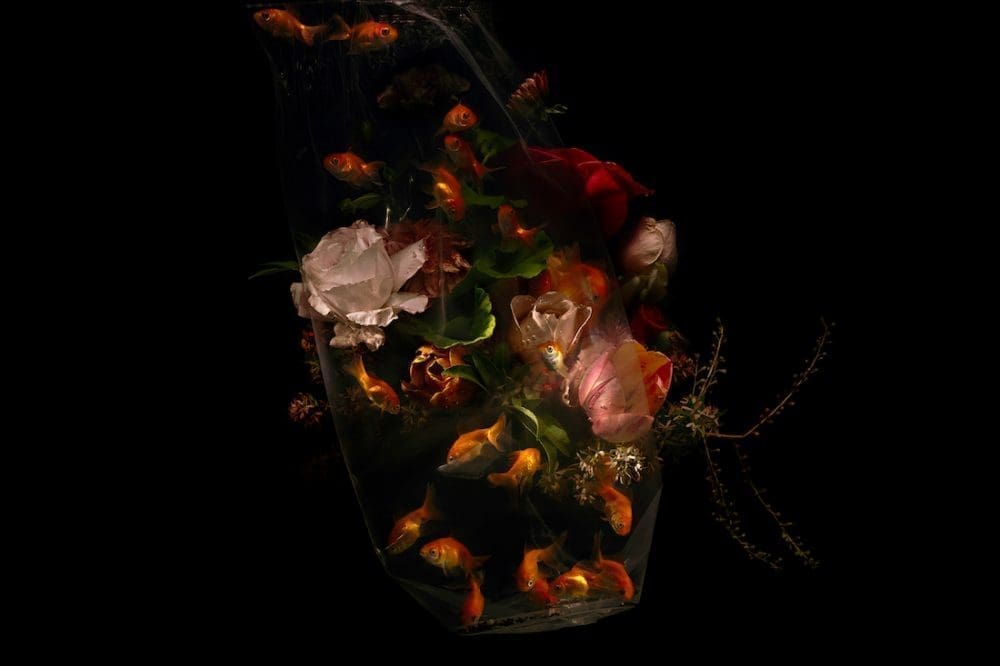 Lilli Waters: Photography art that's more than 50 Shades | Style Curator