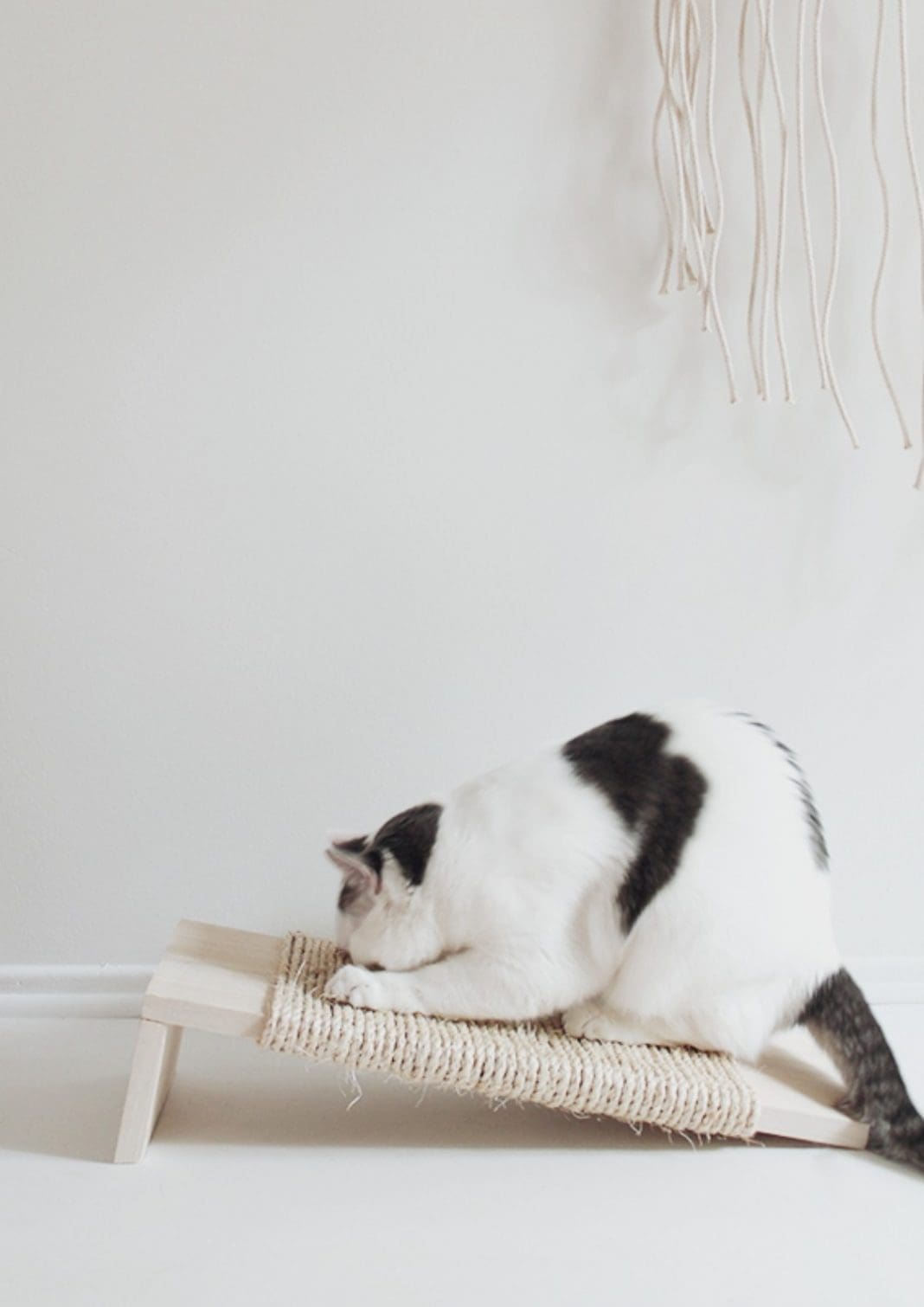 Catify your home with these purrrfect DIY projects for cats | Style Curator