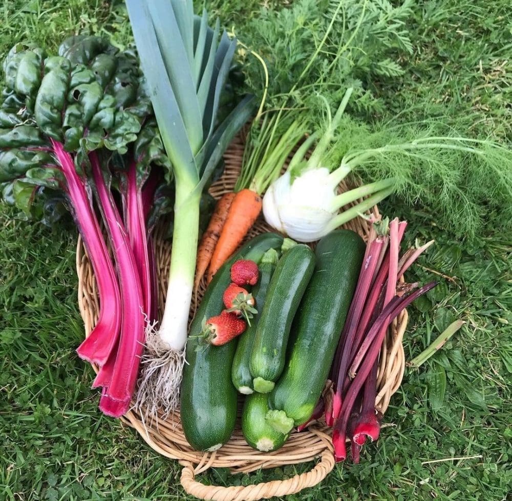 What to grow in spring in Australia: Spring planting guide | Style Curator