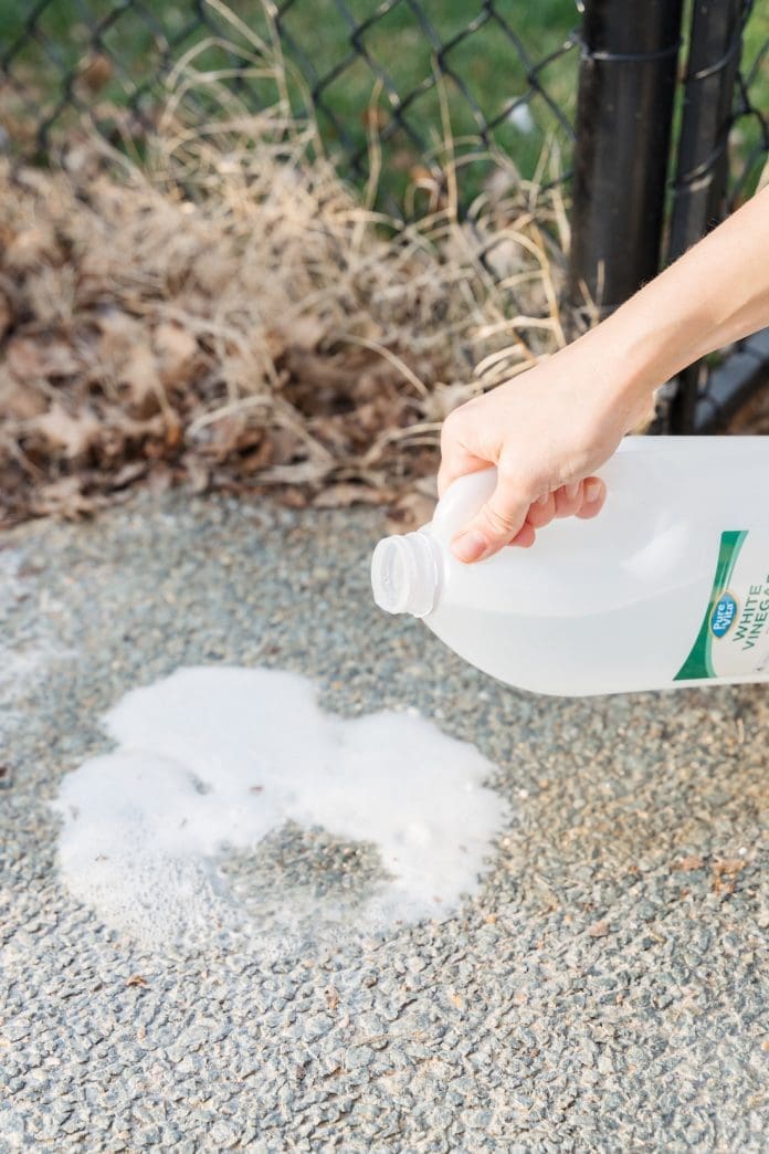 The best outdoor cleaning hacks and tips to make your home exterior ...