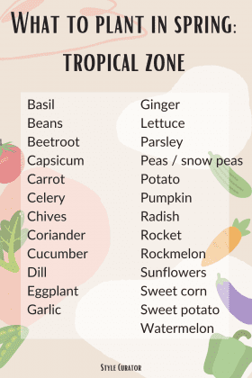 What to grow in spring in Australia: Spring planting guide | Style Curator