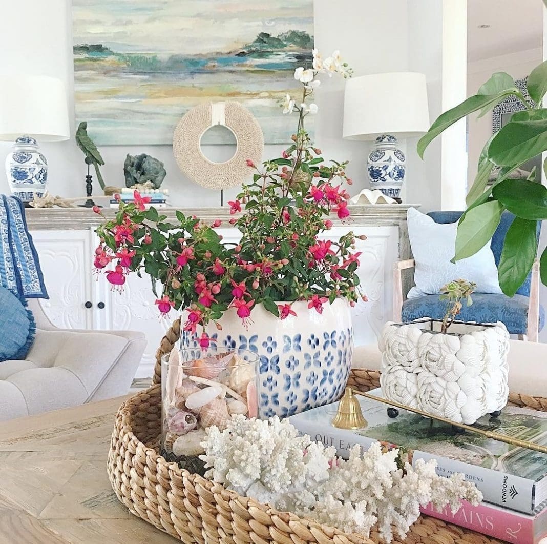 Potted colour: Flowering pot plants for the home | Style Curator