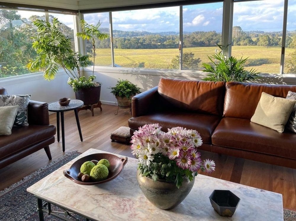 Potted colour: Flowering pot plants for the home | Style Curator