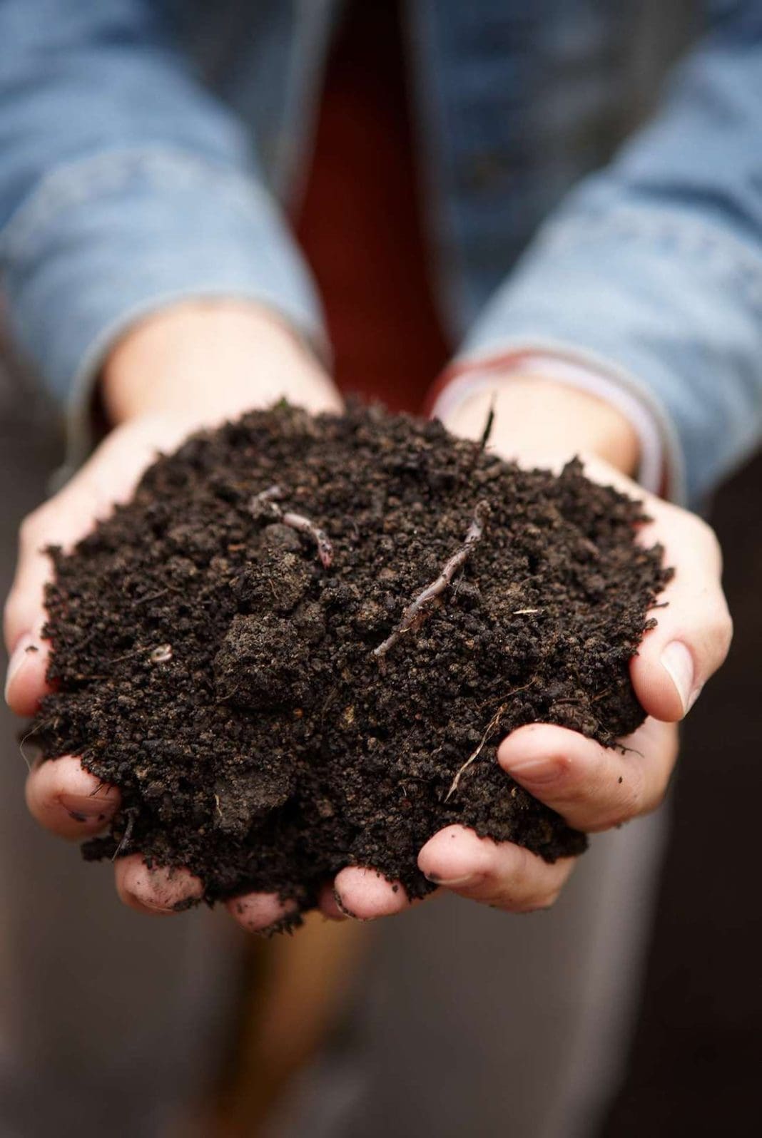 How to make compost: A composting guide for beginners | Style Curator