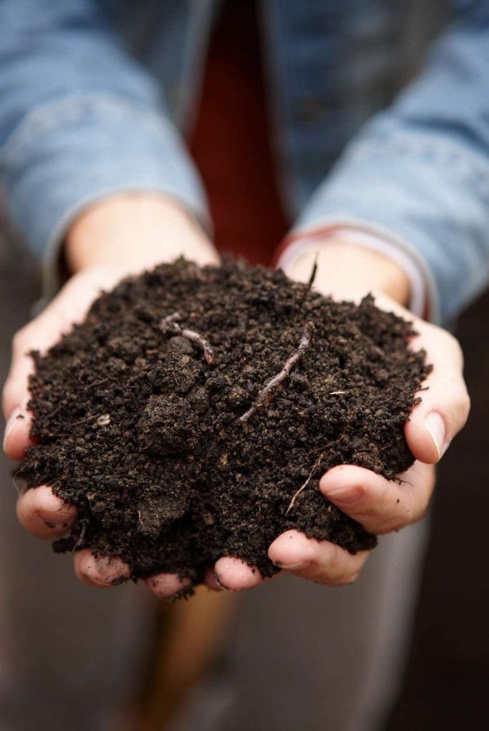How to make compost: A composting guide for beginners | Style Curator
