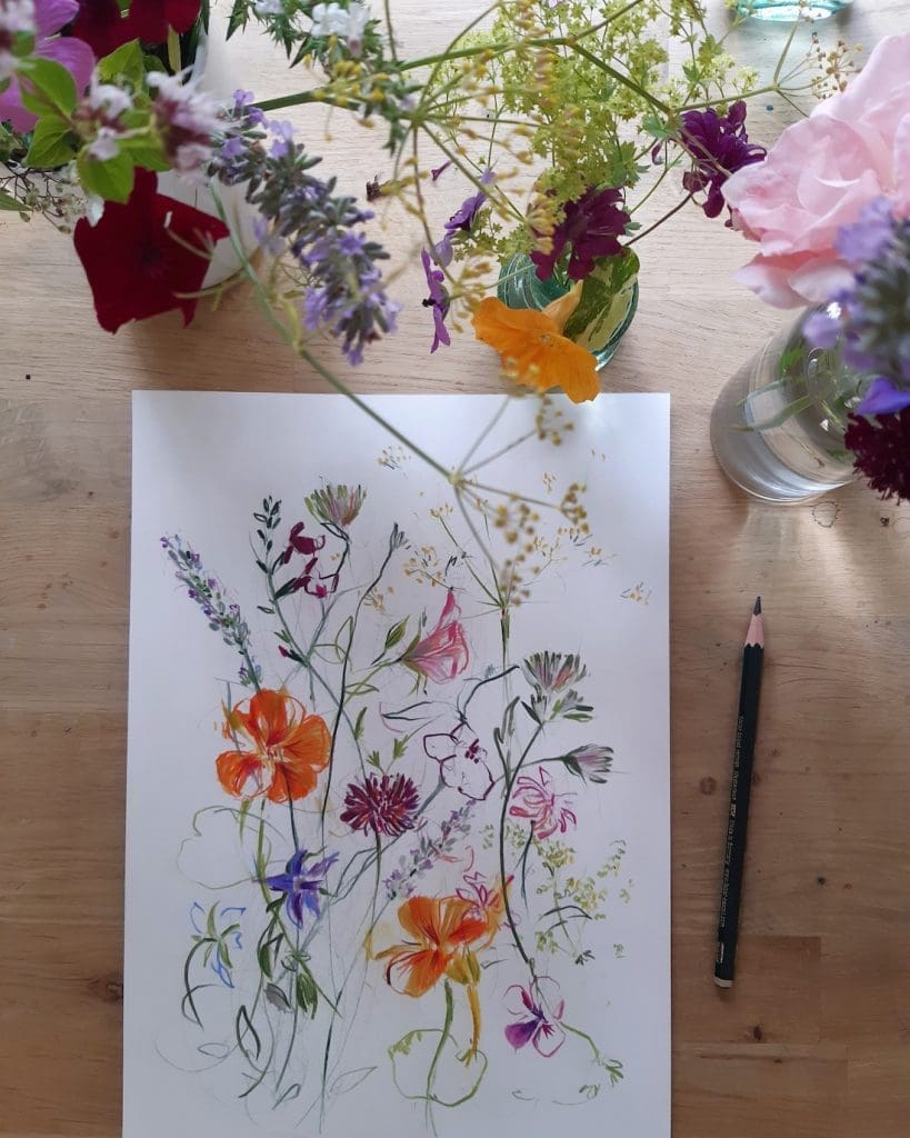 The delicate, hand drawn floral illustrations from Claudia Lowry ...