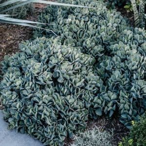 How to add a pop of colour to your contemporary garden space | Style ...